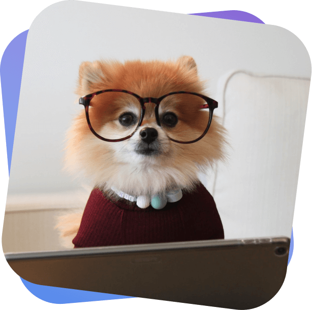 Upgrade Your Sitecore To The Latest 10.x Version Upgrade Your Sitecore To The Latest 10.x Version